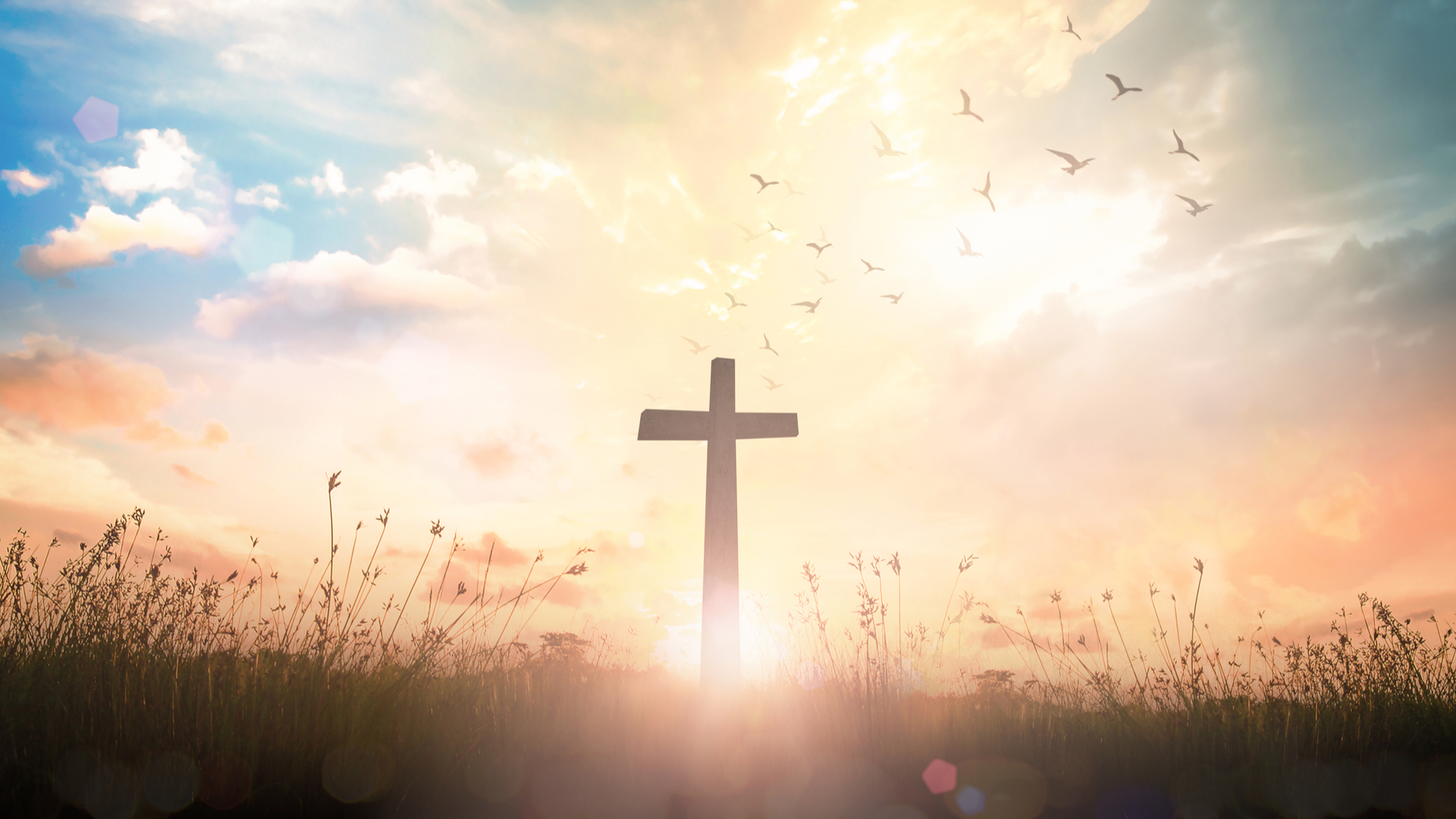 Upcoming Services & Events | Divine Hope Baptist